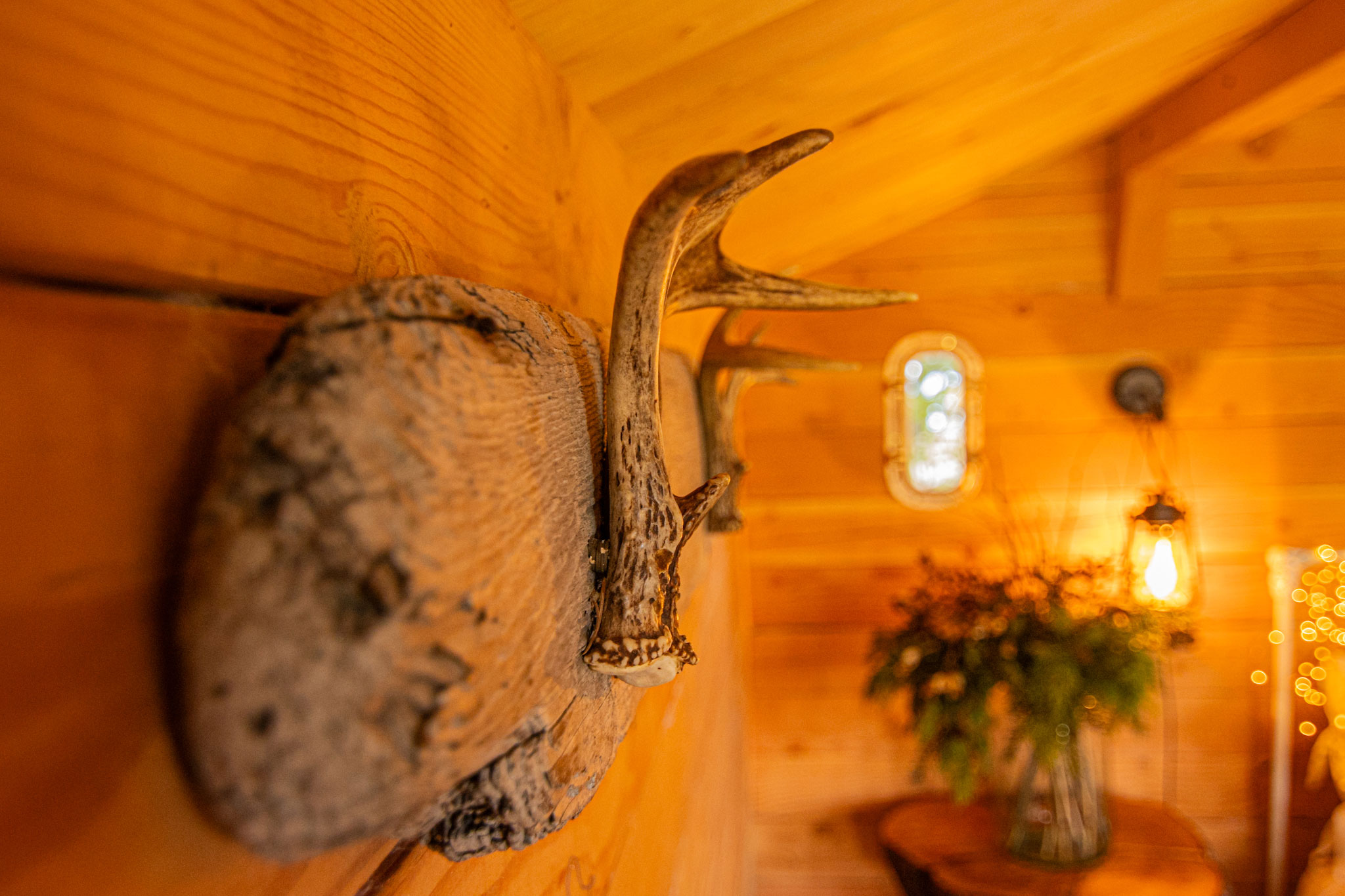 Beachcomber Cabin - Between Beaches Alaska
